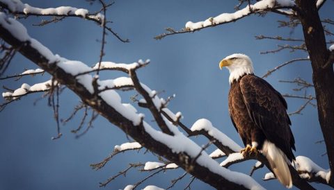 February Spirit Animal - Symbolism & Meaning - Zen or Zen