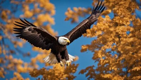 November Spirit Animal - Symbolism & Meaning - Zen or Zen